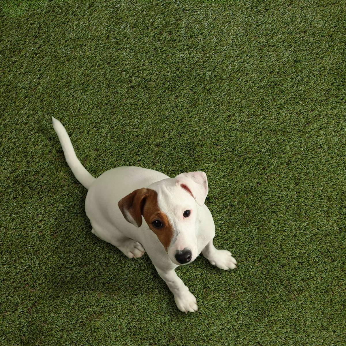 Forest Green Artificial Grass